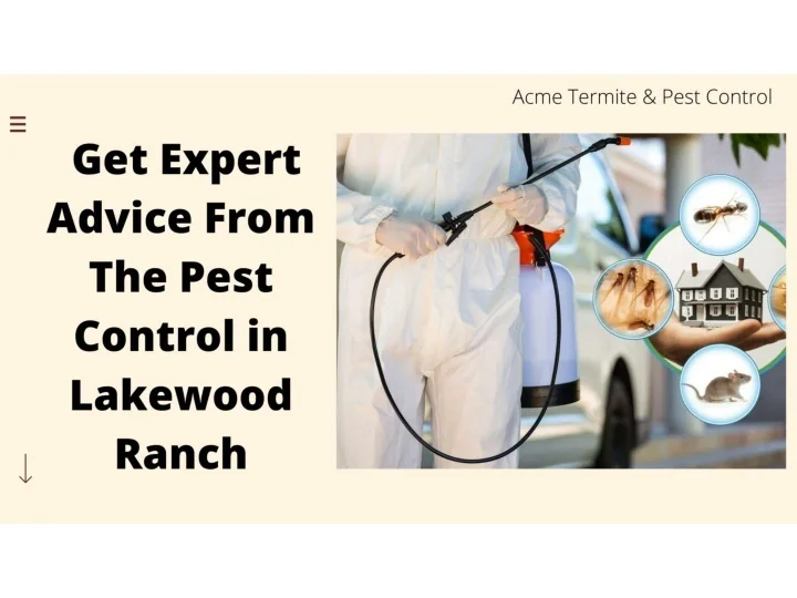 PPT - Get Expert Advice From The Pest Control in Lakewood Ranch ...