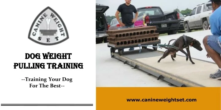 PPT - Dog Weight Pulling Training PowerPoint Presentation, free ...