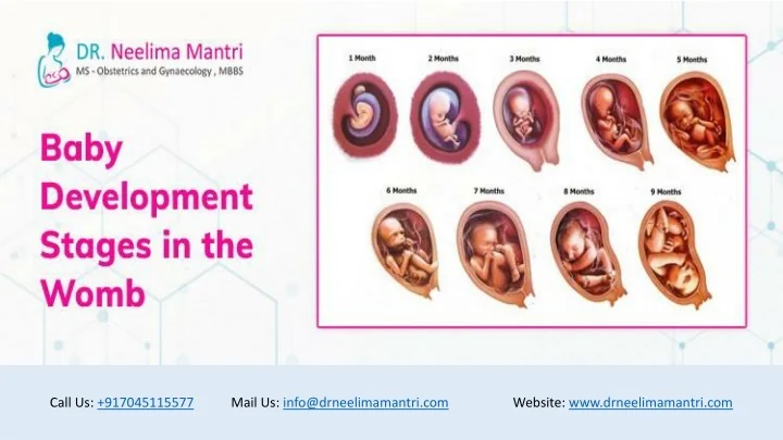 PPT - From Pregnancy to Delivery: Baby Development Stages in the Womb ...