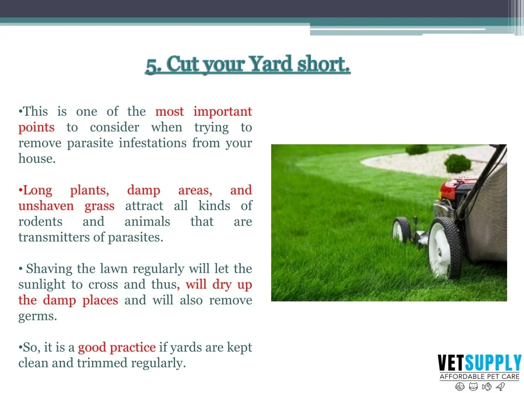 PPT - How to remove flea infestation from home? | Pet Supplies ...