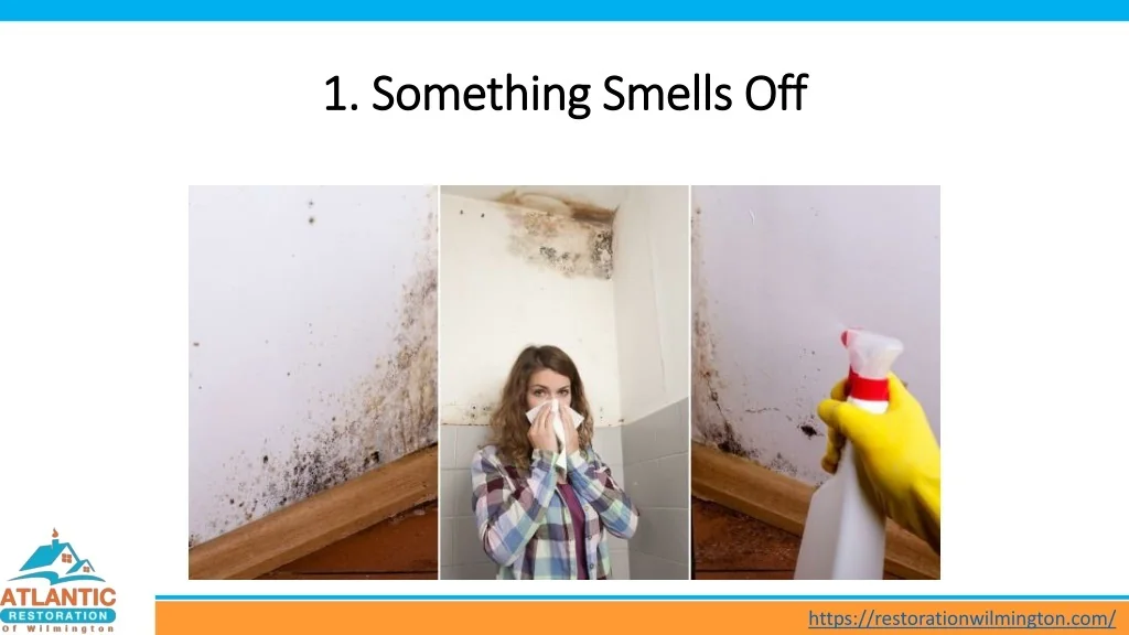 PPT - 4 Signs You Need Mold Remediation—and What You Should Do ...