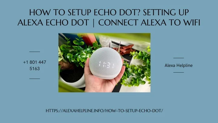 PPT How To Setup Echo Dot Instantly 1 8014475163 Setup Alexa Echo PPT How To Setup Echo Dot Instantly 1 8014475163 Setup Alexa Echo