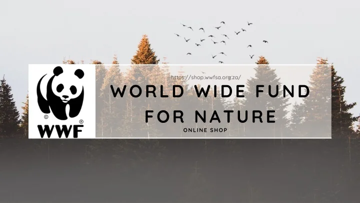 PPT - WWF For Nature SA - Presentation (November 2021) PowerPoint ...