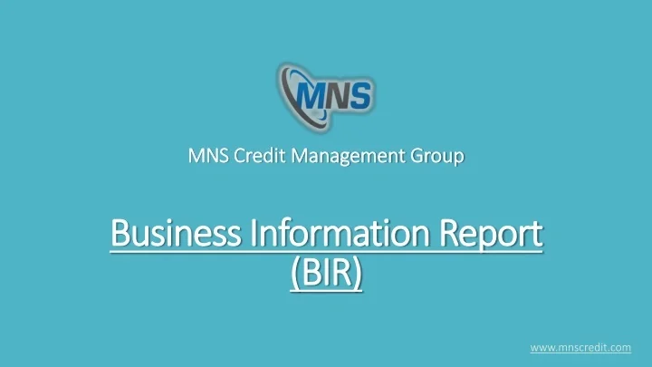 PPT - Business Information Report PowerPoint Presentation, free ...