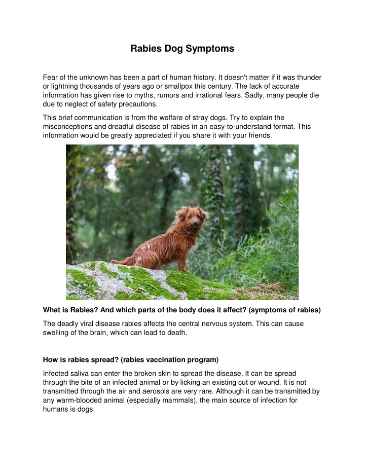 PPT - Rabies Dog Symptoms PowerPoint Presentation, free download - ID ...