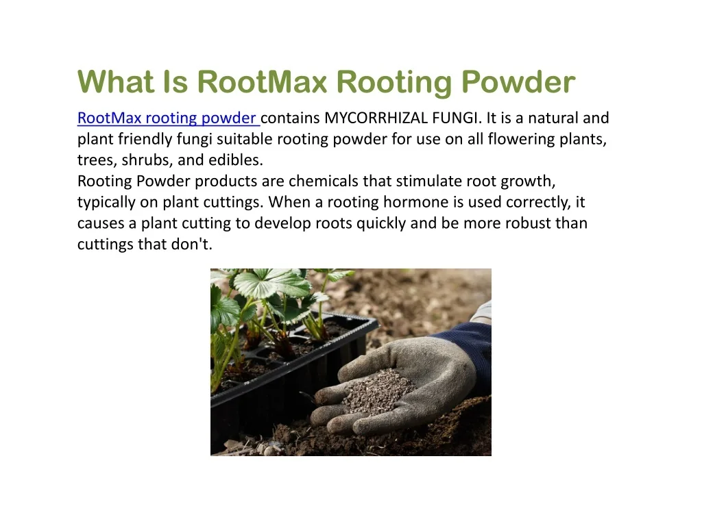 PPT - Tricho Protect - Bio Fungicide For Plant Growth - Growmate ...