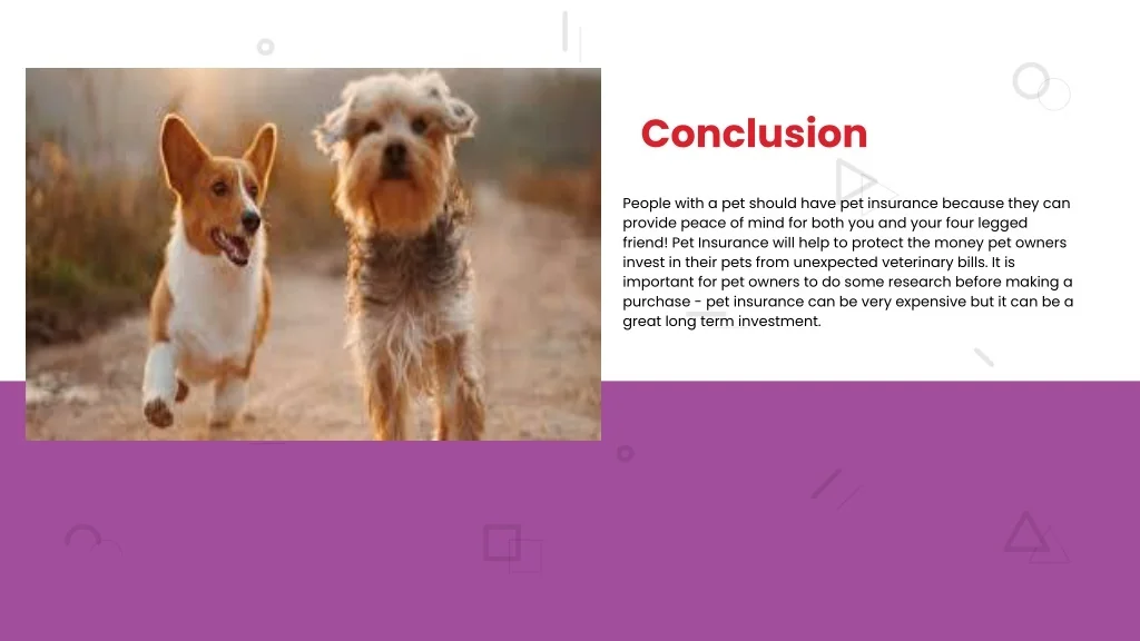 PPT - All you need to know about pet insurance - ppt.pptx PowerPoint ...