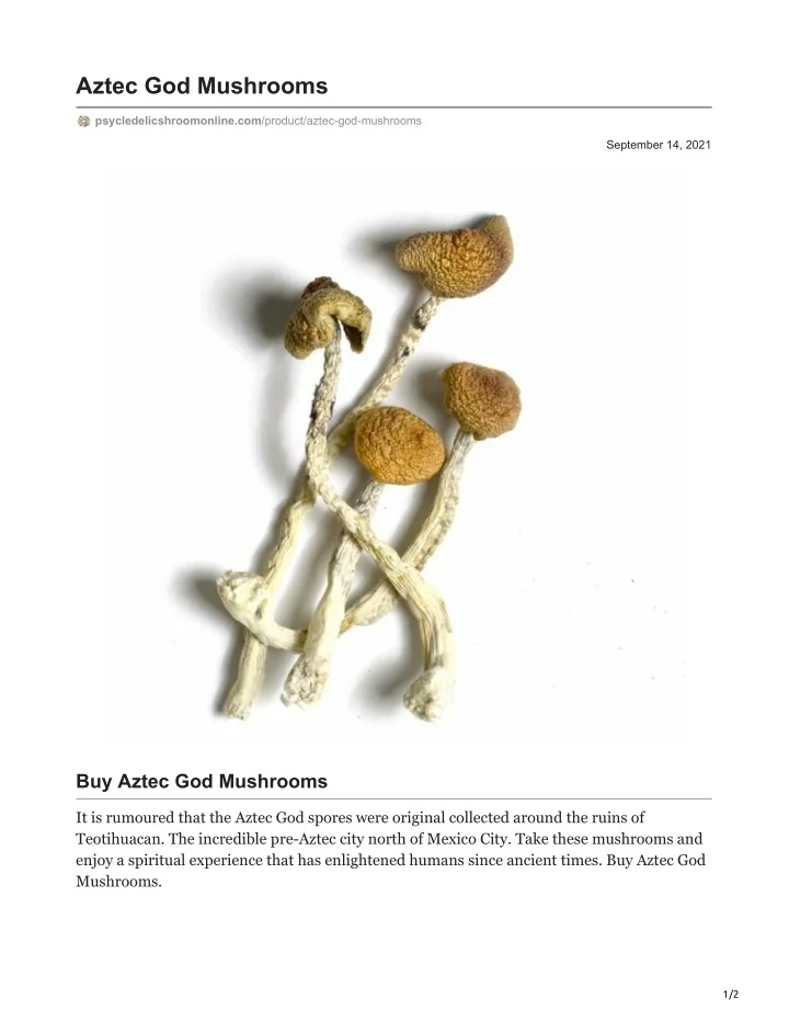 PPT - Aztec God Mushrooms PowerPoint Presentation, free download - ID ...