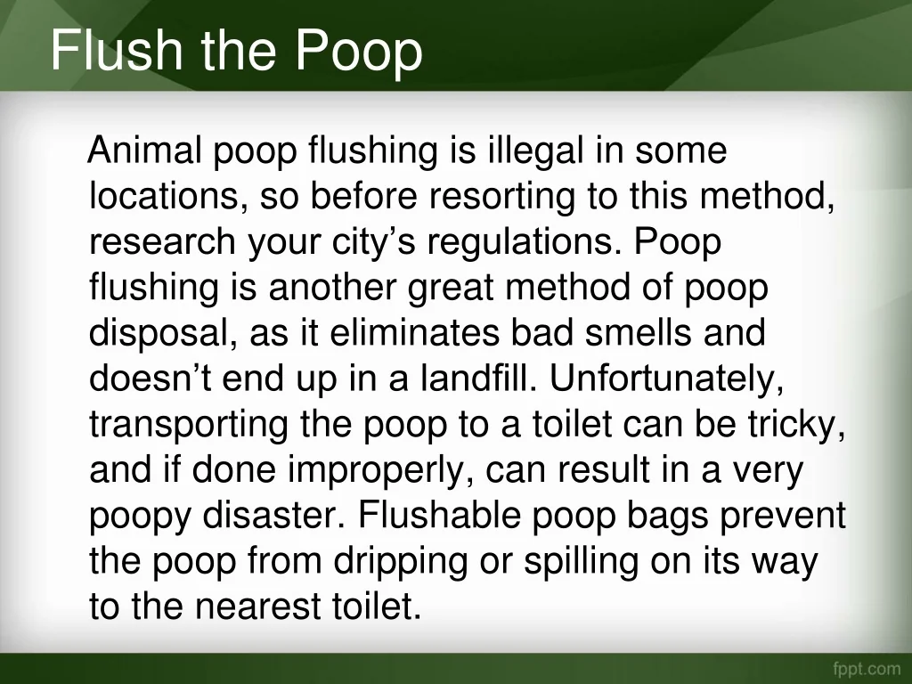 PPT - 6 Ways to Scoop Your Pet’s Poop PowerPoint Presentation, free ...