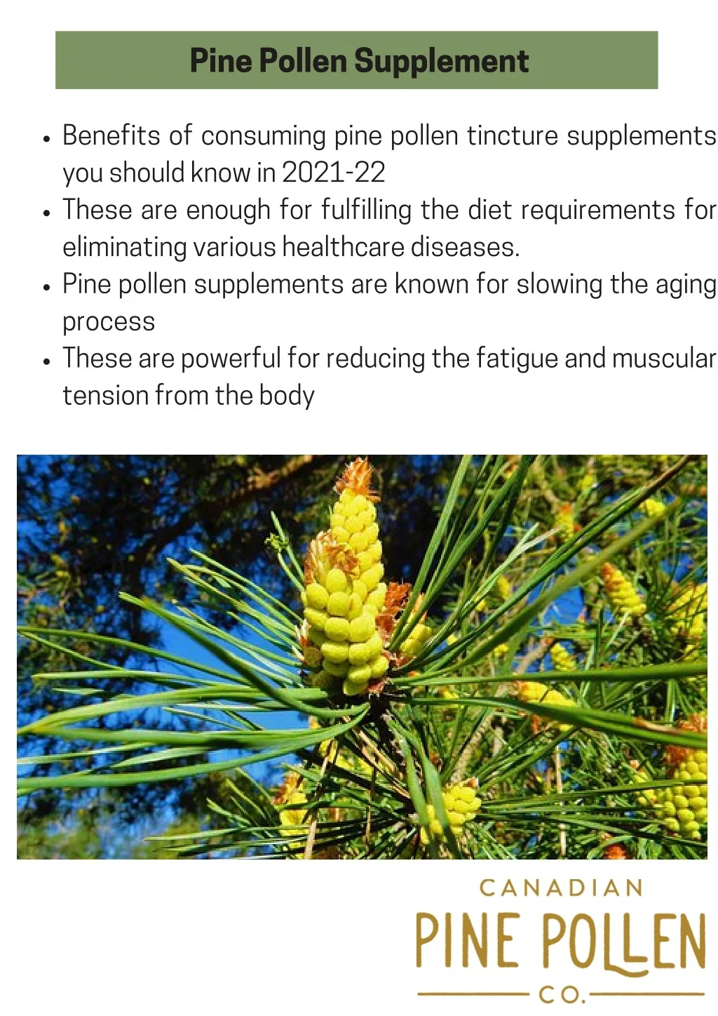 PPT - All you need to know about Pine Pollen Health Dietary Supplements ...