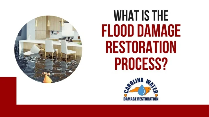 PPT - What is the Flood Damage Restoration Process? PowerPoint ...