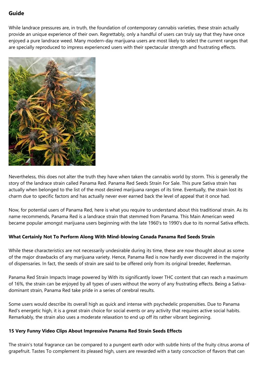 PPT - Typical Mistaken Beliefs About Sensational Effects Of Panama Red ...