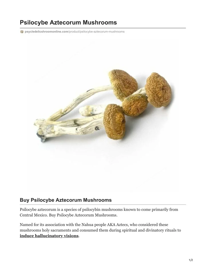 PPT - Psilocybe Aztecorum Mushrooms PowerPoint Presentation, free ...