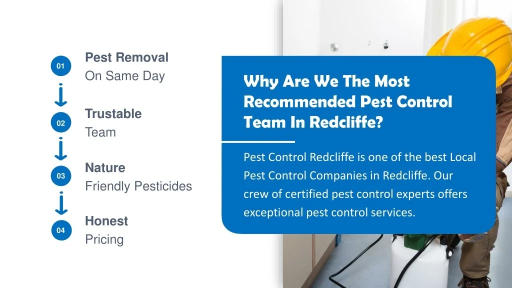 PPT - Pest Control Redcliffe | Amazing Pest Extermination Treatments ...