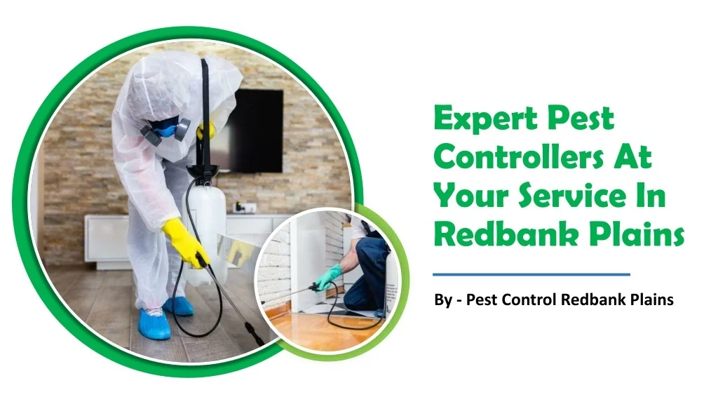 PPT - Expert Pest Controllers At Your Service In Redbank Plains ...