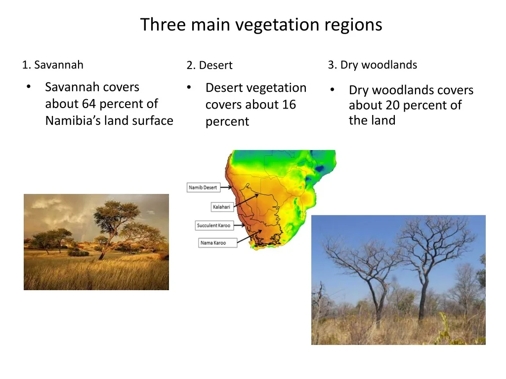 PPT - A Brief Introduction to Namibia: A Perspective on Mineral and ...