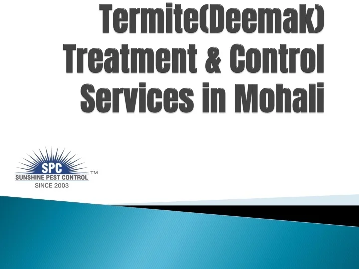 PPT - Termite(Deemak) Treatment & Control Services in Mohali PowerPoint ...