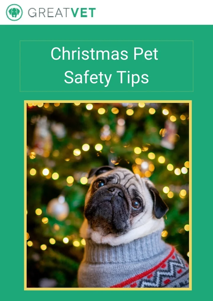 PPT - Christmas Pet Safety Tips PowerPoint Presentation, free download ...