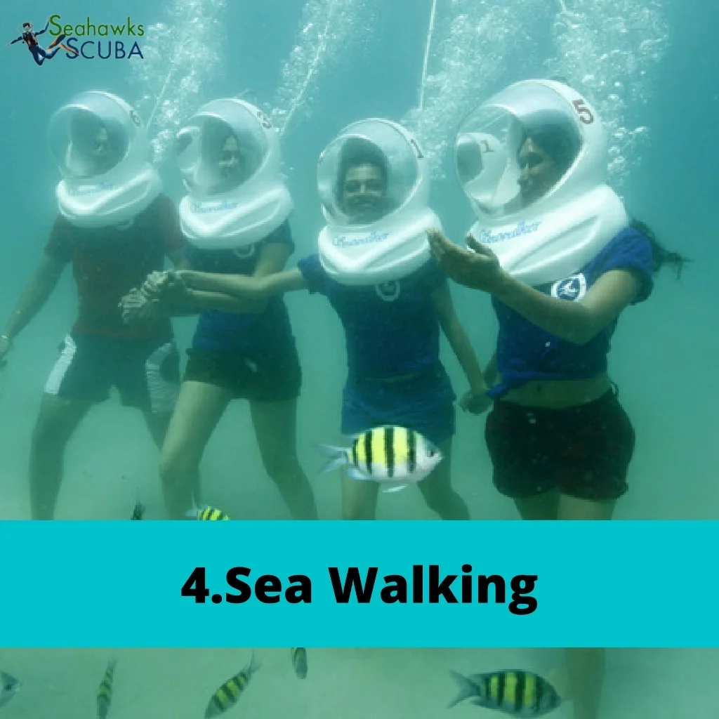 PPT - Top 5 water sports Activities in Havelock Island PowerPoint ...