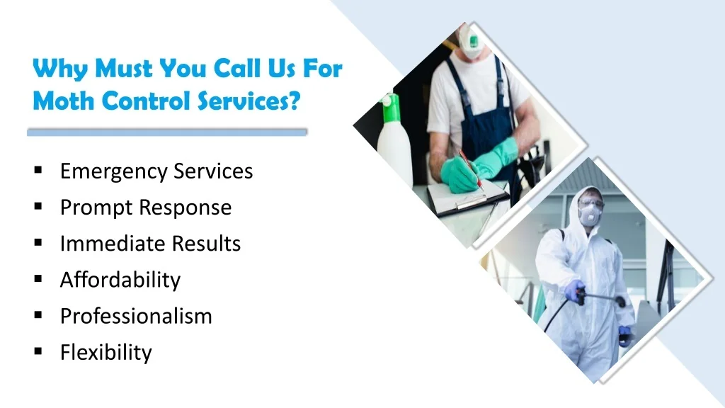 PPT - Professional Moth Control Service Team In Adelaide | Commercial ...