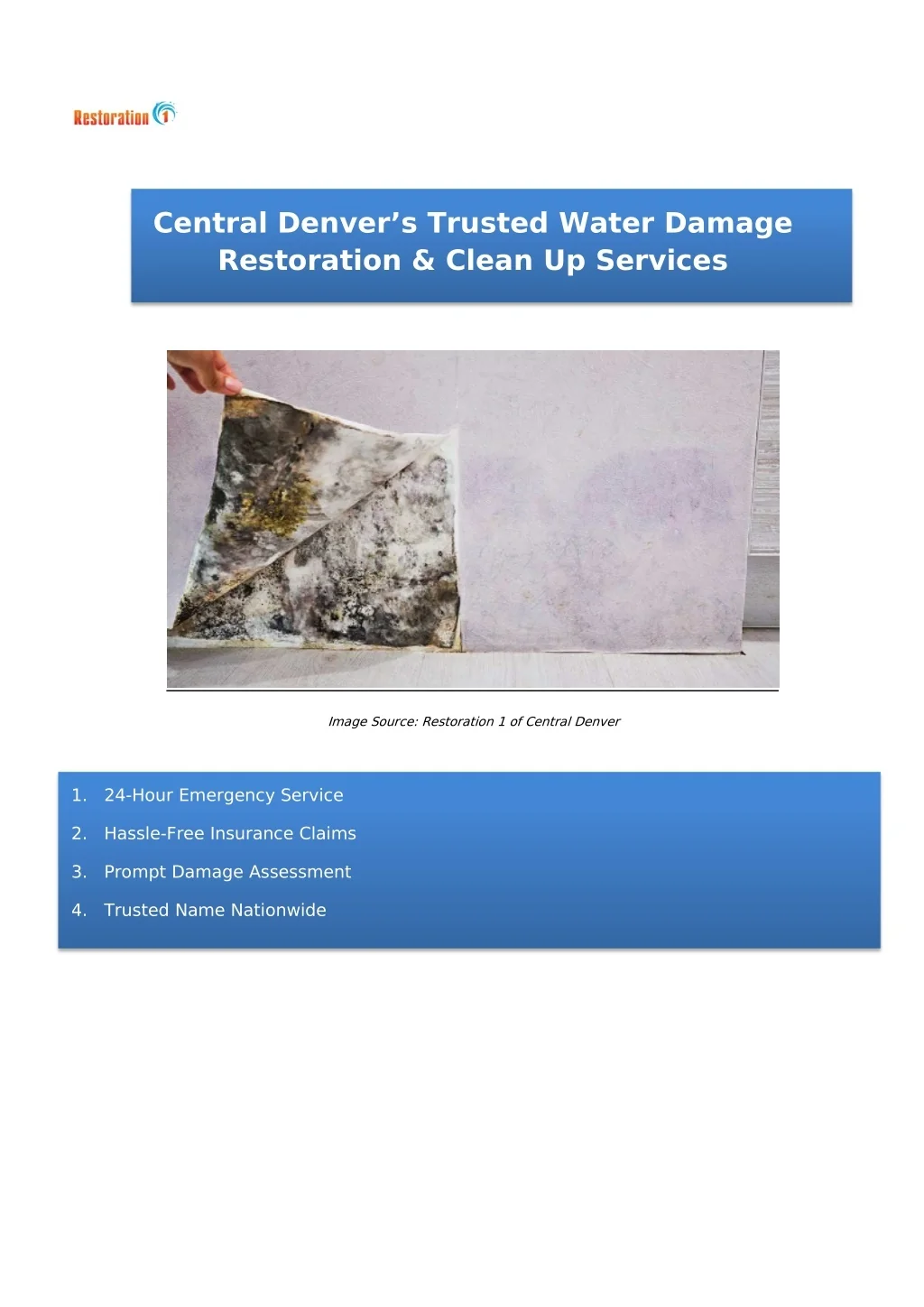 PPT - Damage Restoration Company PowerPoint Presentation, free download ...