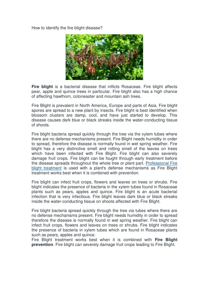 PPT - How to identify the fire blight disease-converted PowerPoint ...