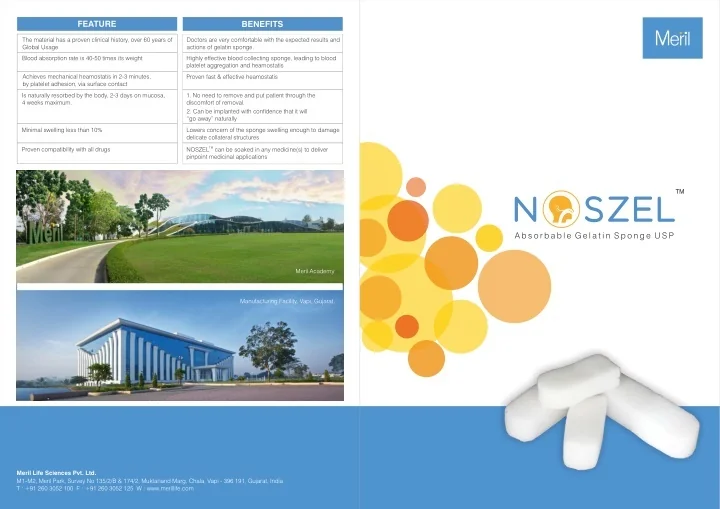 PPT - NOSZEL Absorbable Nasal Packing by Meril Life PowerPoint ...