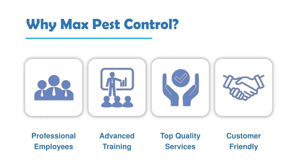 PPT - We Are Melbourne’s Most Certified Pest Control Expert PowerPoint ...