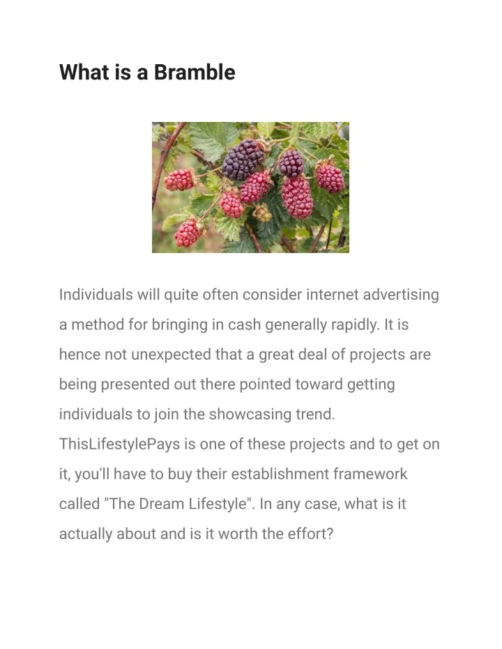 PPT - What is a Bramble PowerPoint Presentation, free download - ID ...
