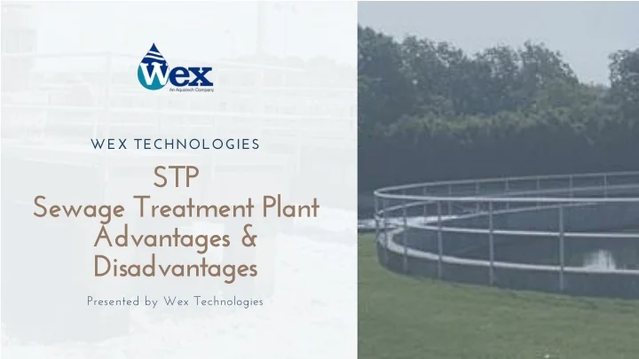 PPT - Sewage Treatment Plant Advantages and Disadvantages PowerPoint ...
