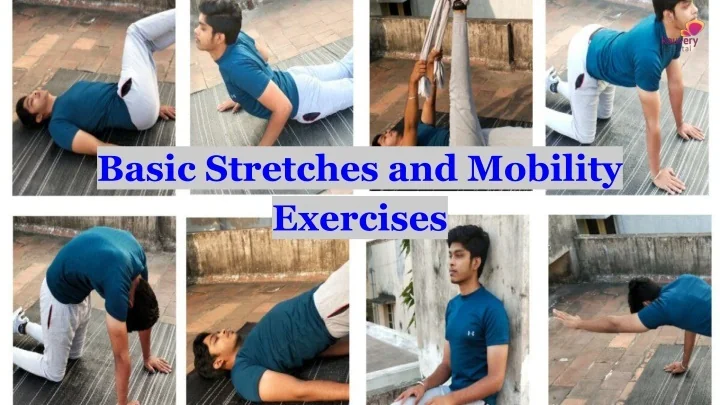 PPT - Basic Stretches and Mobility Exercises PowerPoint Presentation ...