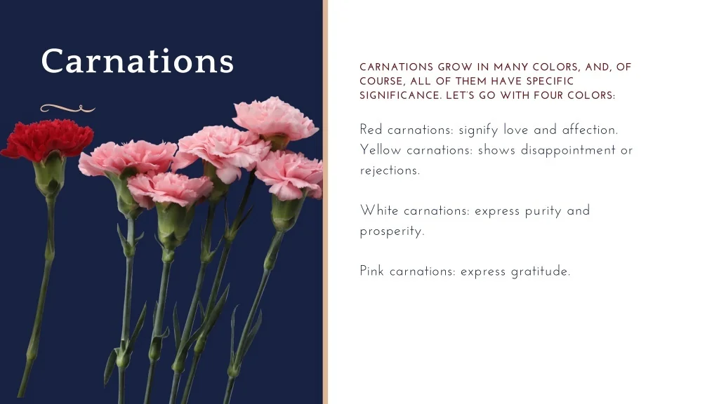 PPT - Best Wedding Flower Bouquets Vancouver PowerPoint Presentation, free download - ID:11096559