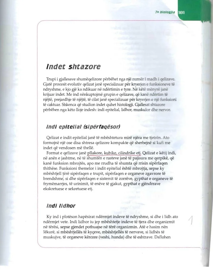 PPT - Indet shtazore & PowerPoint Presentation, free download - ID:11113517