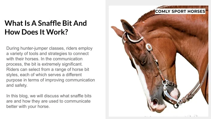 PPT - What Is A Snaffle Bit And How Does It Work_ PowerPoint ...