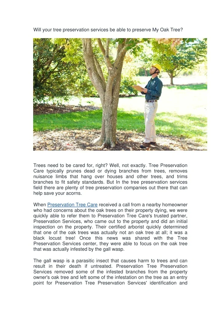 PPT - Will your tree preservation services be able to preserve my oak ...