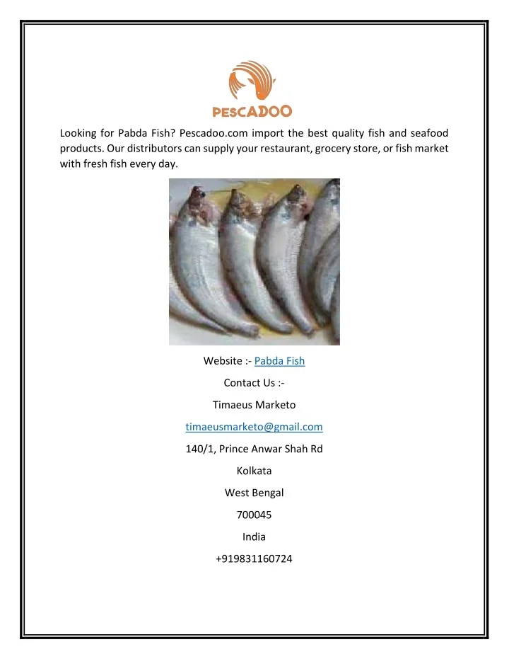 PPT - Pabda Fish | Pescadoo.com PowerPoint Presentation, free download ...