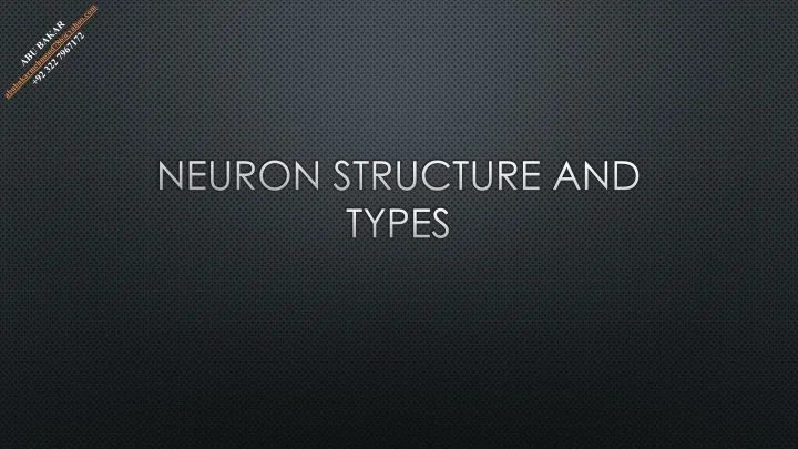 PPT - Neuron Structure and Types PowerPoint Presentation, free download ...