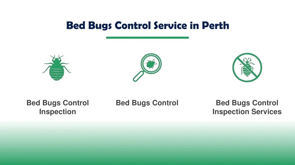 PPT - Hire Our Cost-effective And Professional Bed Bugs Control Service in Perth PowerPoint ...