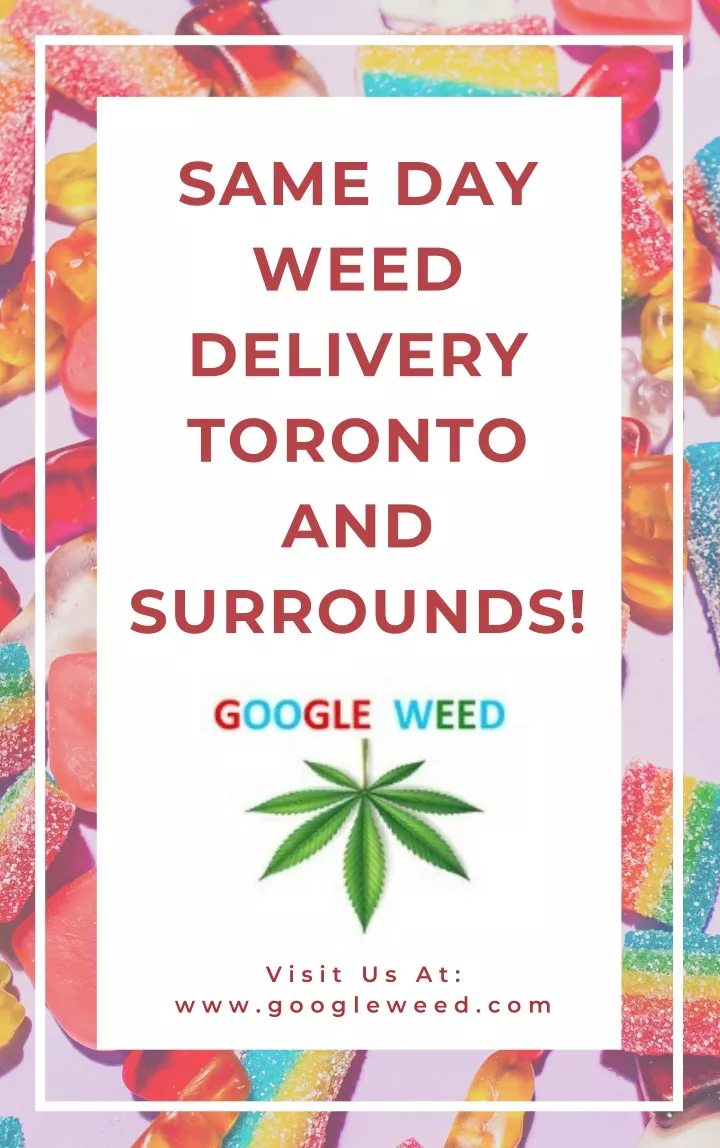 PPT - SAME DAY WEED DELIVERY TORONTO AND SURROUNDS PowerPoint ... PPT - SAME DAY WEED DELIVERY TORONTO AND SURROUNDS PowerPoint ...