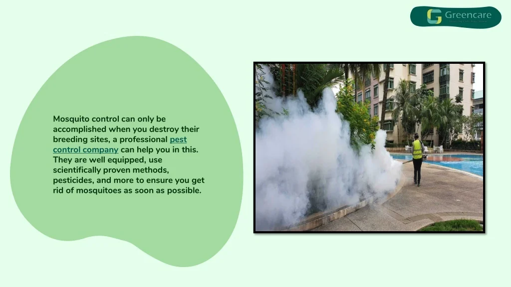 PPT - Misting Services For Mosquito Control in Singapore - Greencare PowerPoint Presentation ...