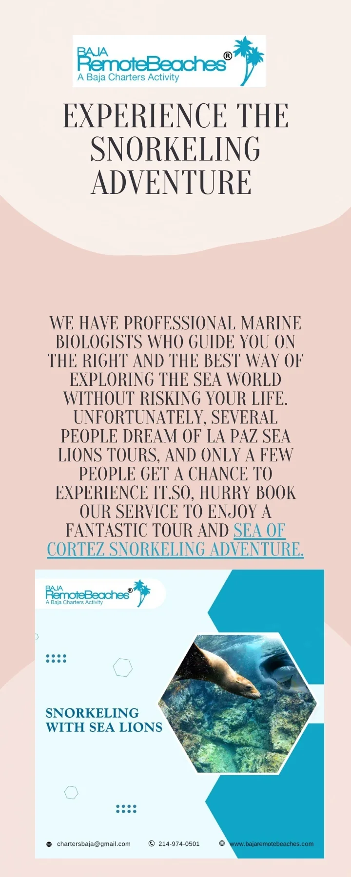 PPT - Experience the snorkeling adventure PowerPoint Presentation, free ...