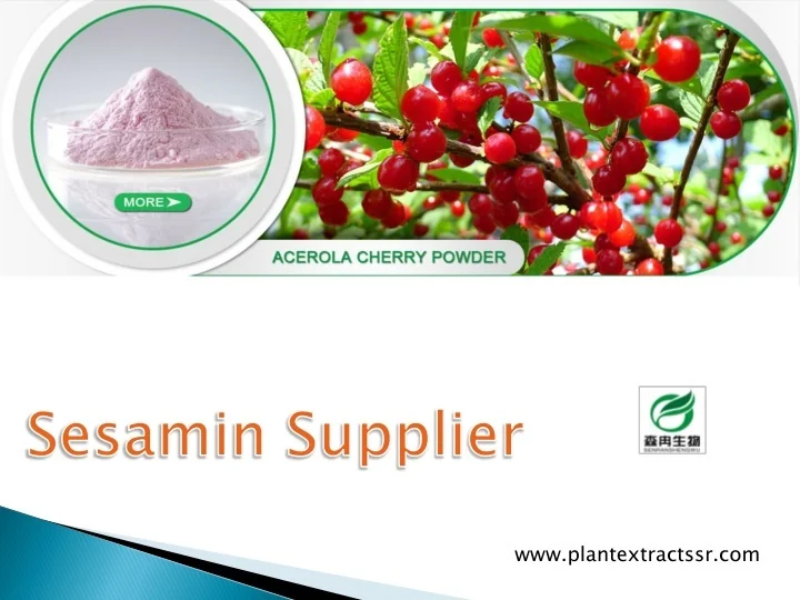PPT - Sesamin Supplier PowerPoint Presentation, free download - ID:11144381