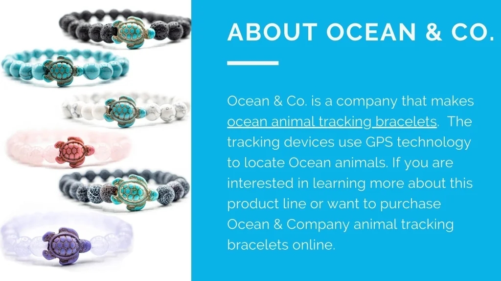 PPT - Buy Ocean and Company Turtle Tracking Products Online - Ocean ...