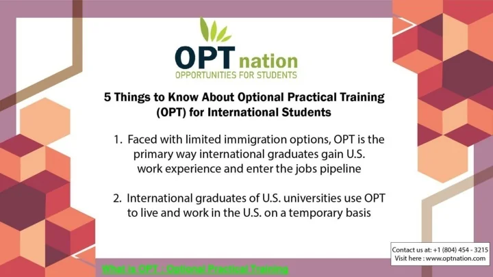 PPT - What is OPT _ 5 things to know about optional practical training ...