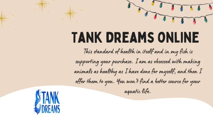 PPT - Buy Orange Von Rio Tetra in Michigan | Tankdreams Online ...