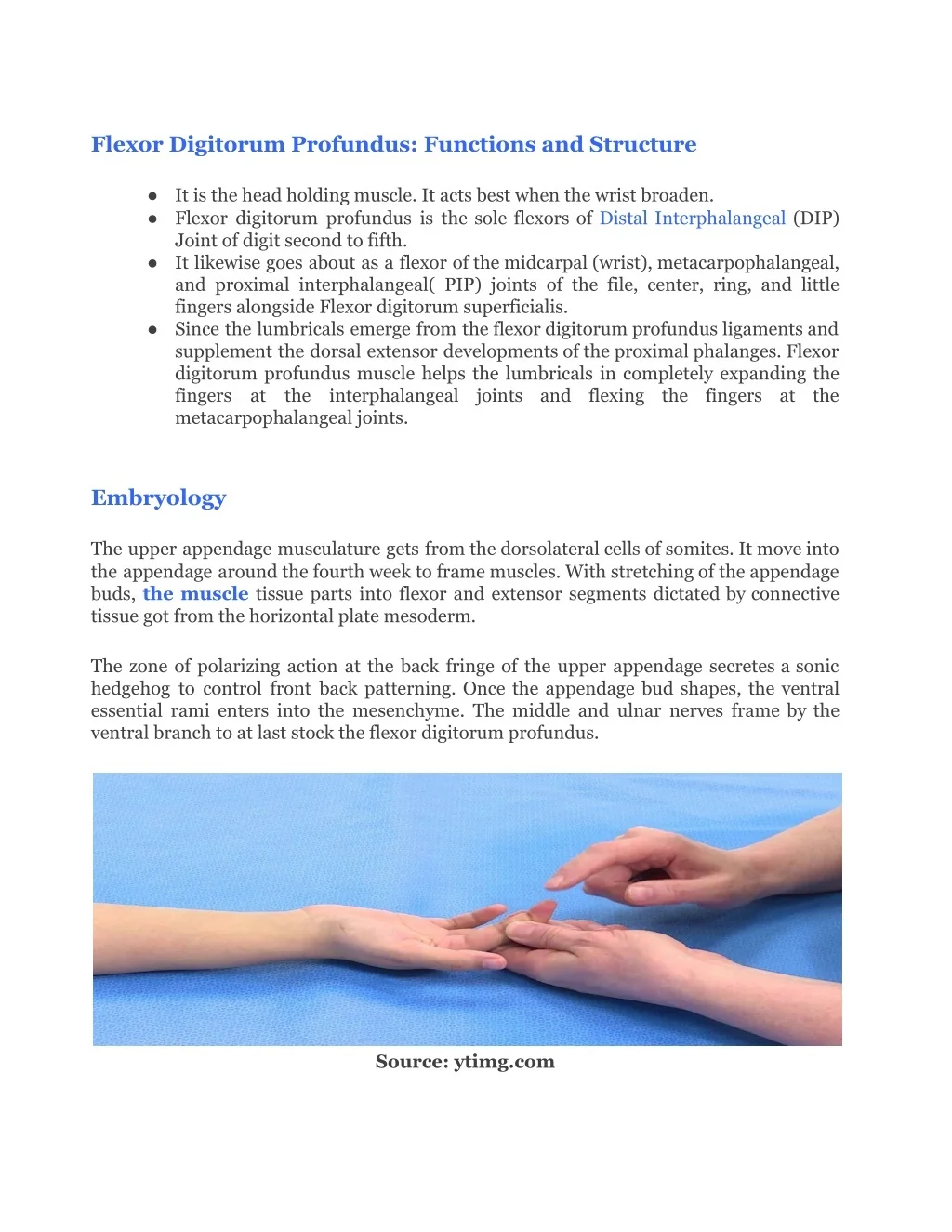 PPT - Flexor Digitorum Profundus & Superficialis_ A Detailed Guide ...