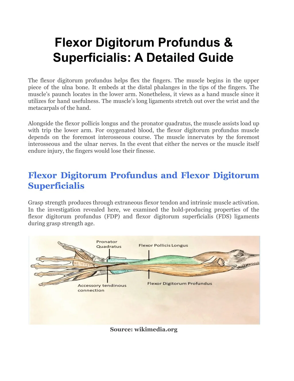 PPT - Flexor Digitorum Profundus & Superficialis_ A Detailed Guide ...
