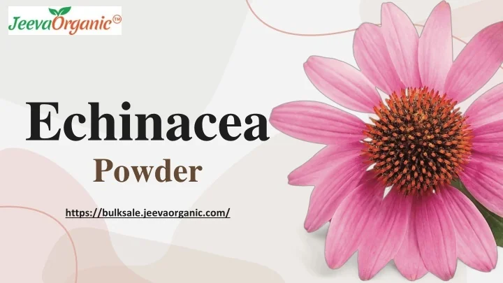 PPT - Echinacea Powder PowerPoint Presentation, free download - ID:11167164