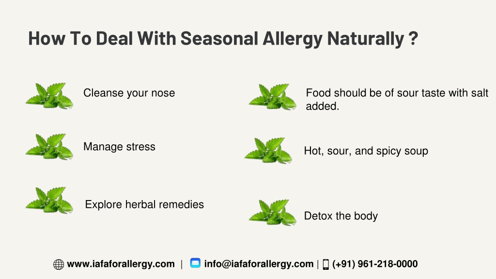 Ppt Seasonal Allergies How To Deal With Them Naturally Powerpoint