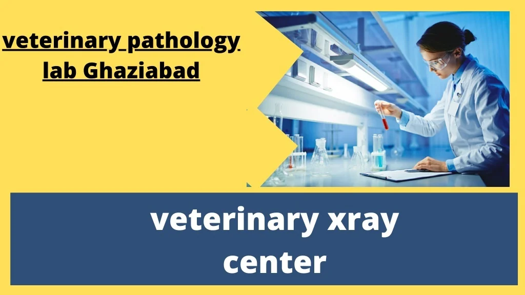 PPT - Veterinary diagnostic lab Delhi | Veterinary pathology lab ...
